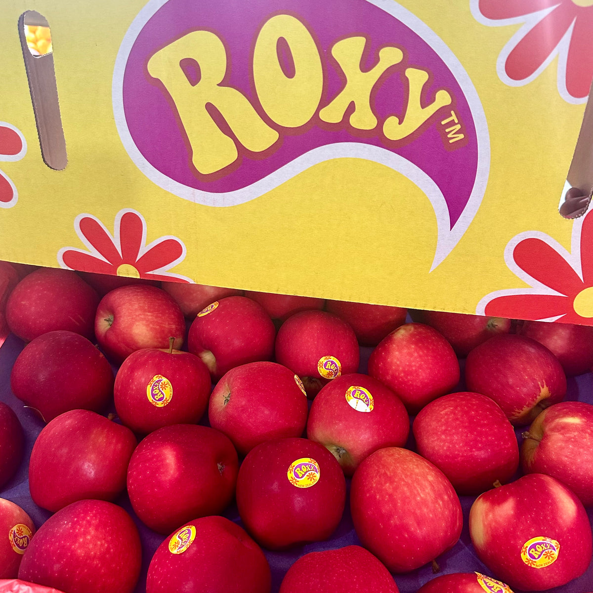 Roxy Apple – Fruit Loot Ph