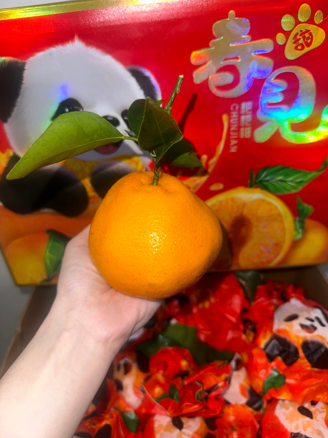 Ugly Ponkan – Fruit Loot Ph