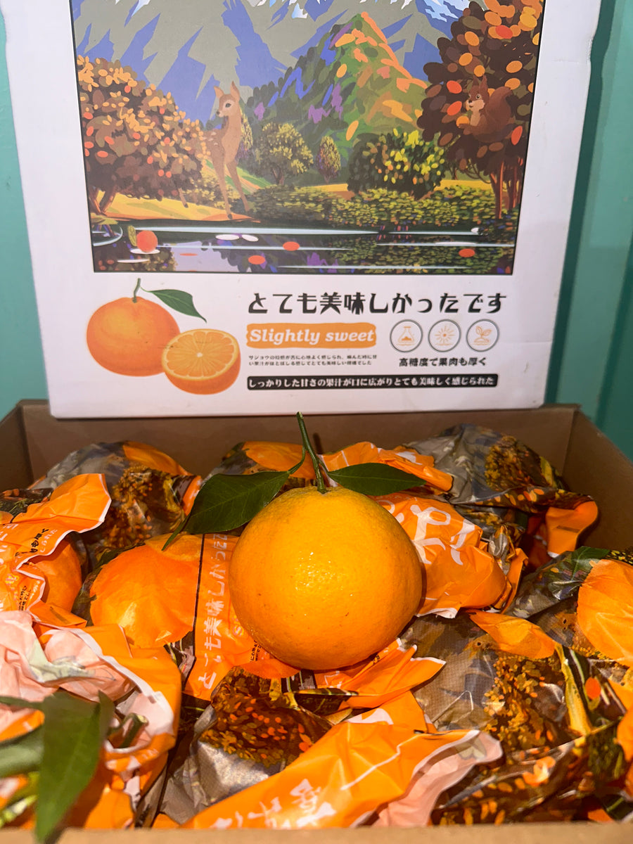 Ugly Ponkan – Fruit Loot Ph