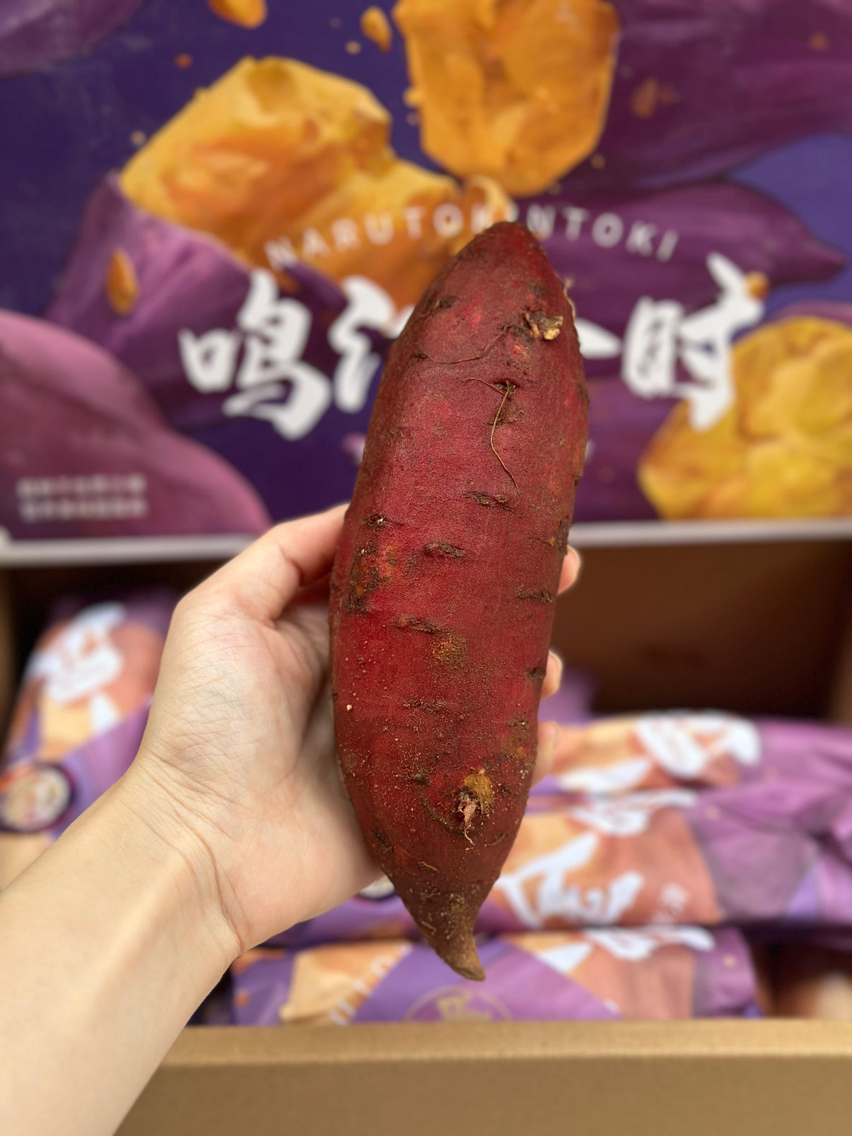 Japanese Sweet Potato (Narutokintoki) – Fruit Loot Ph