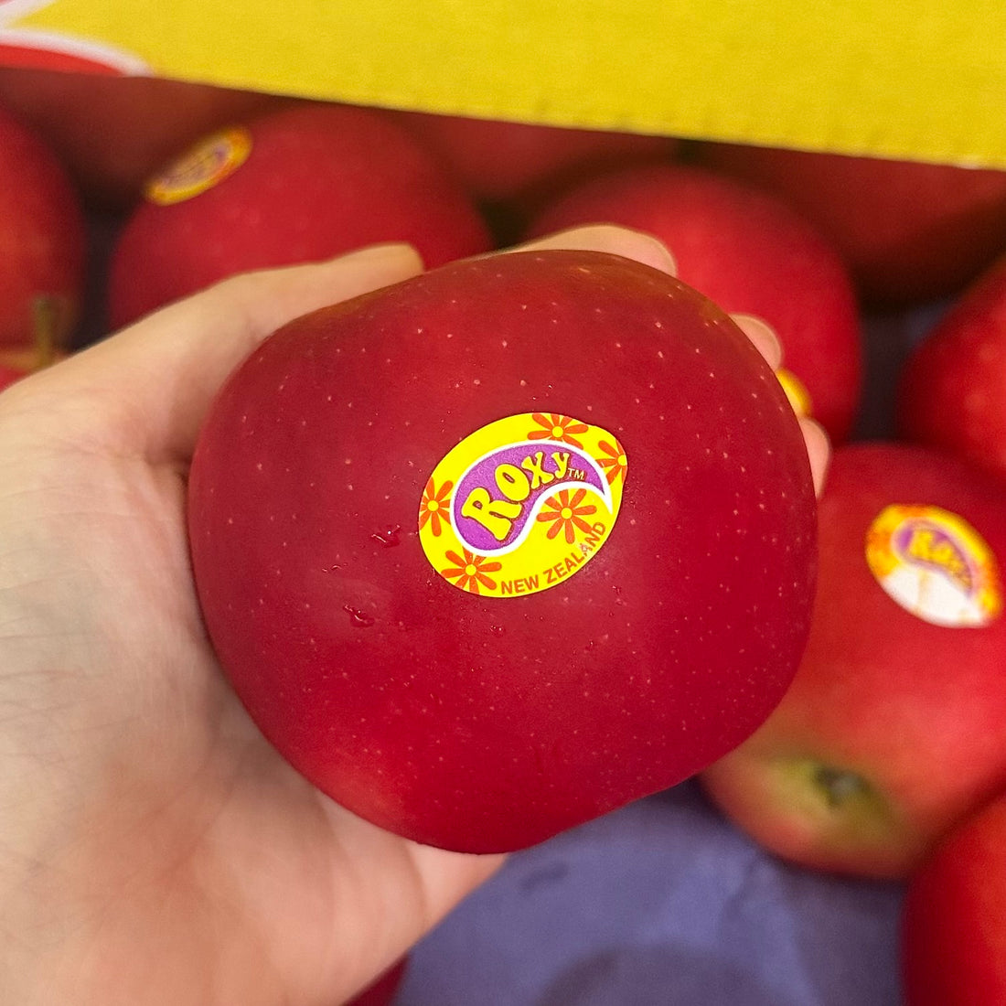 Roxy Apple – Fruit Loot Ph