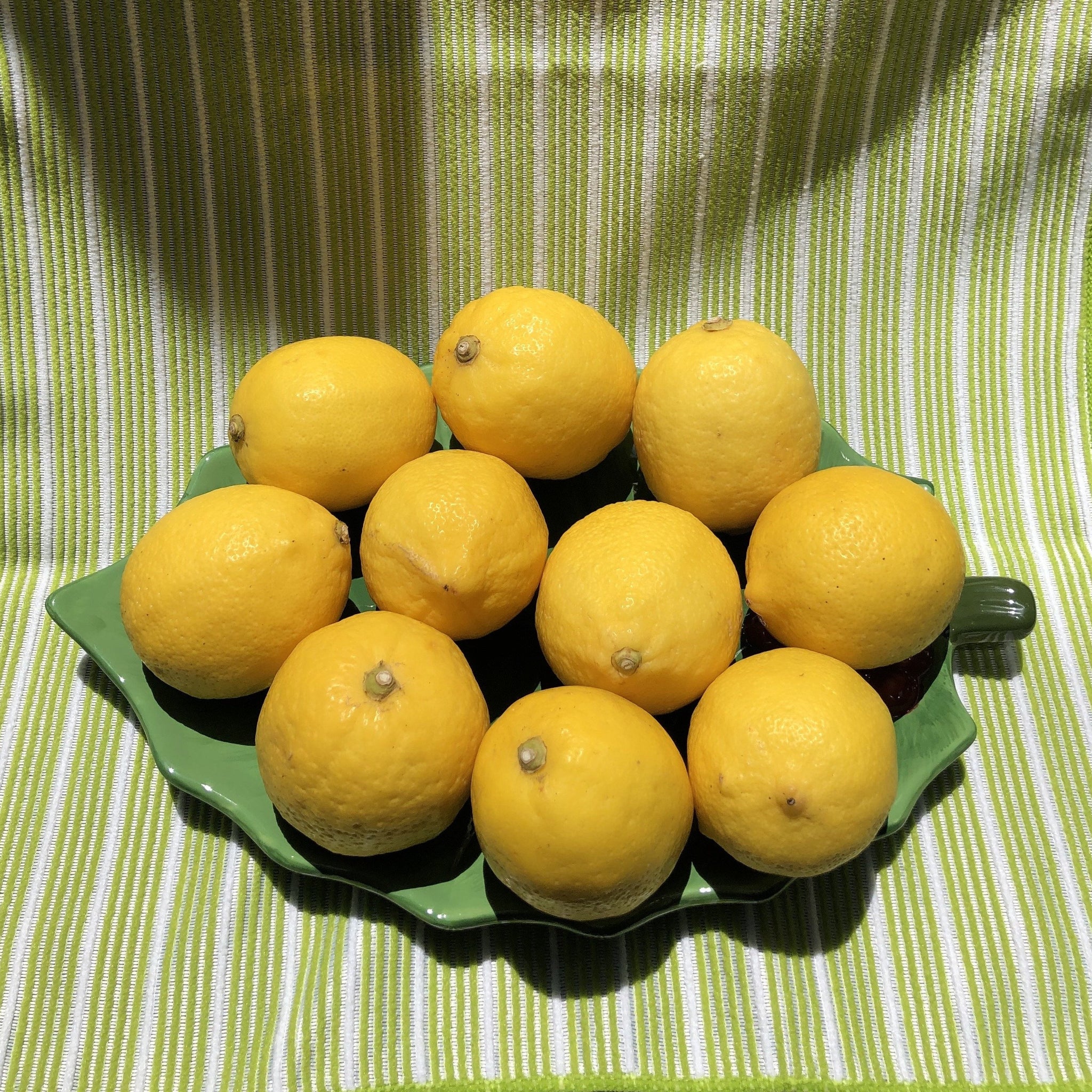 Lemons – Fruit Loot Ph