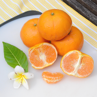 Ponkans (Mandarin Oranges) – Fruit Loot Ph
