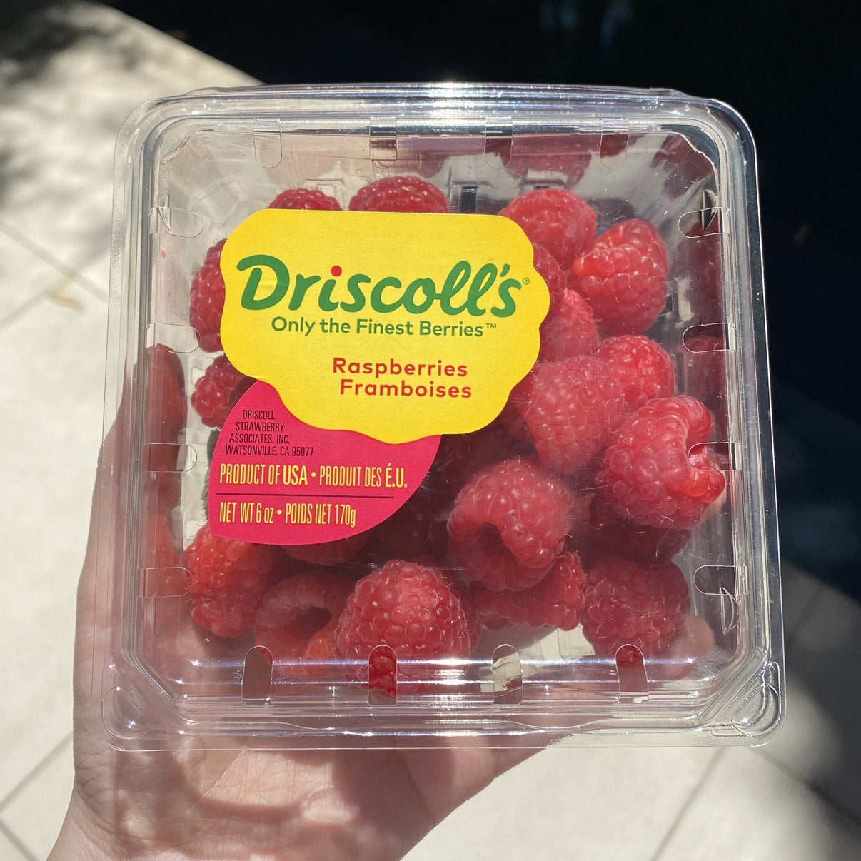 Raspberries – Fruit Loot Ph